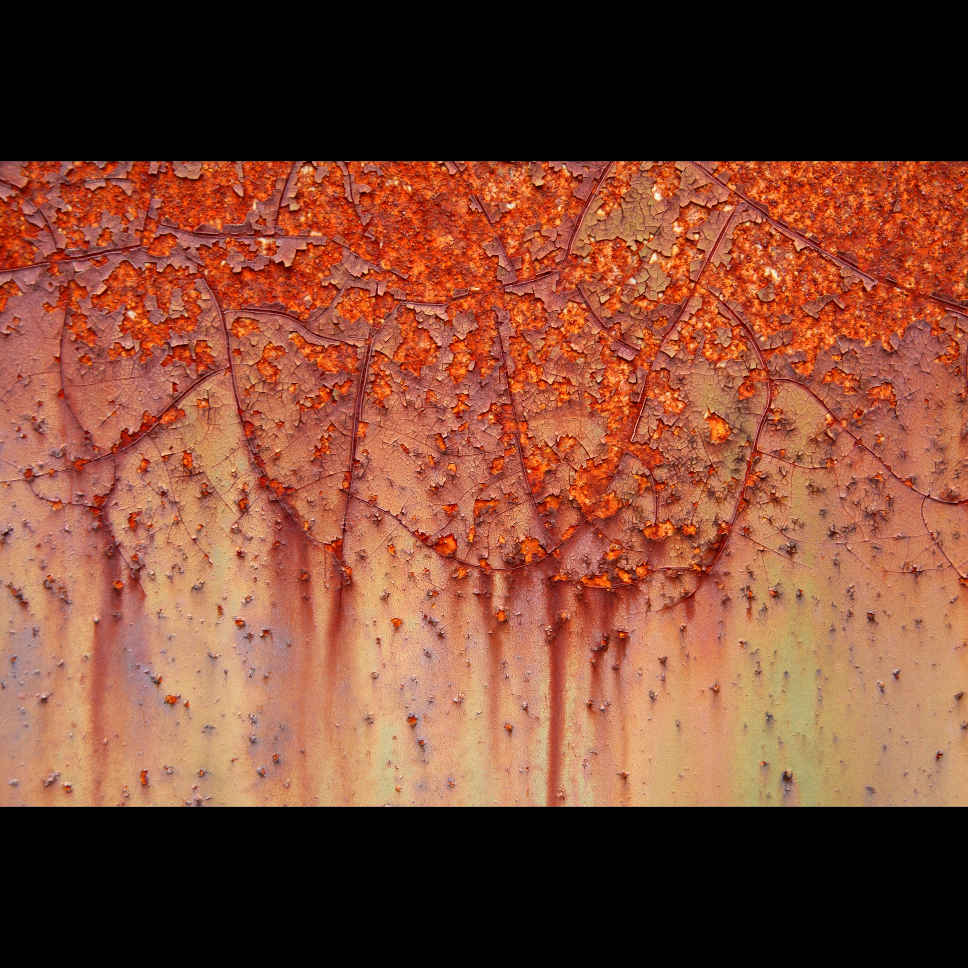Jana Scott Photography - Mount Gretna Outdoor Art Show | August 15th ...